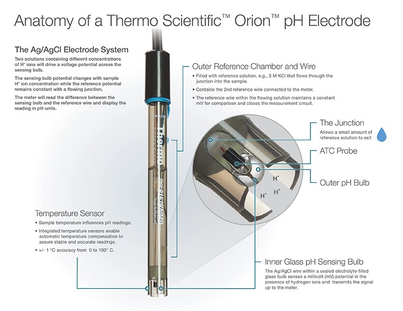 pH Measurement 101: Techniques & Tools | Thermo Scientific