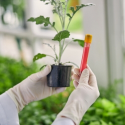 Fertilizer Analysis & Testing Maximize Plant Growth & Crop Yield