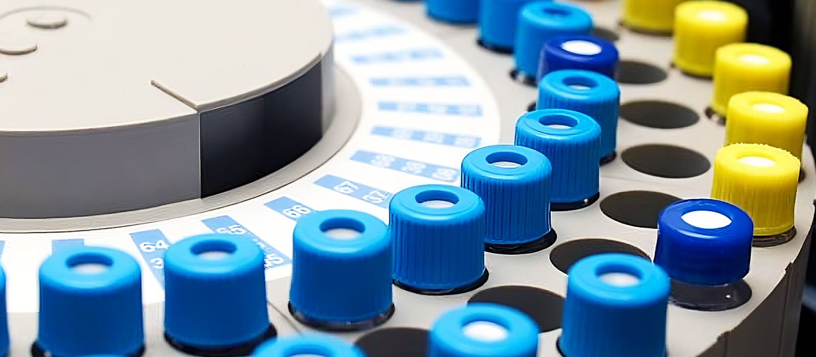 Essential Chromatography Supplies & Consumables Checklist