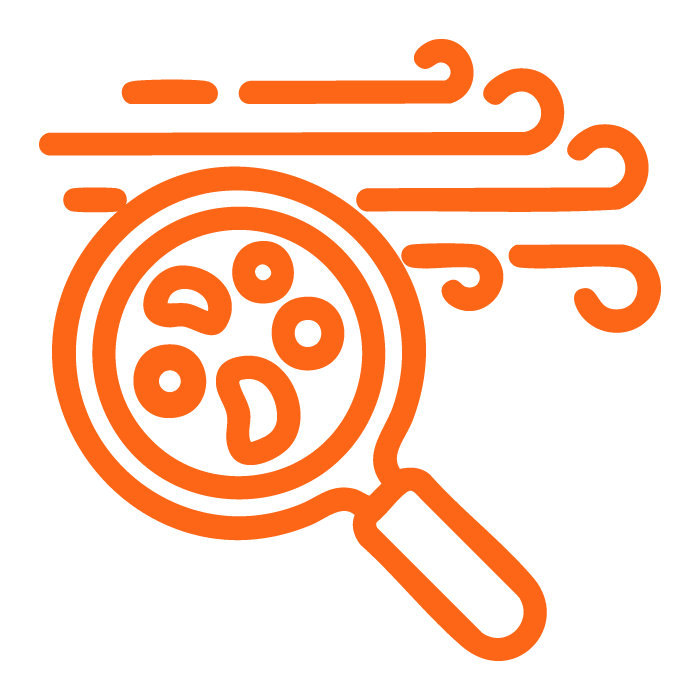 Cell Culture Contamination Control in Medical Labs
